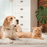 Animalerie : Toute une gamme aux meilleurs prix